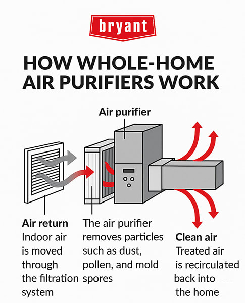 What Does an Air Purifier Do? | Bryant